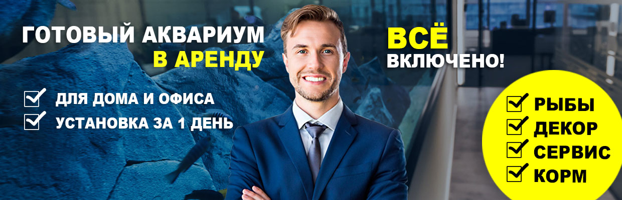 Аквариумное оборудование: аквариумный интернет-магазин STELLEX AQUA